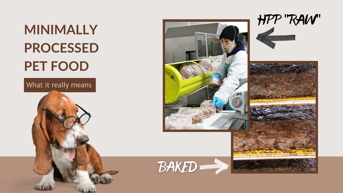 Minimally Processed Dog Food: HPP Raw, Gently Cooked, Air Dried , Steam ...
