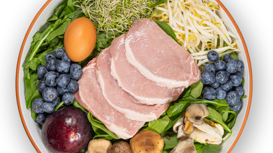 Restoratives - Functional Whole Food Diets for Dogs – Goodness Gracious