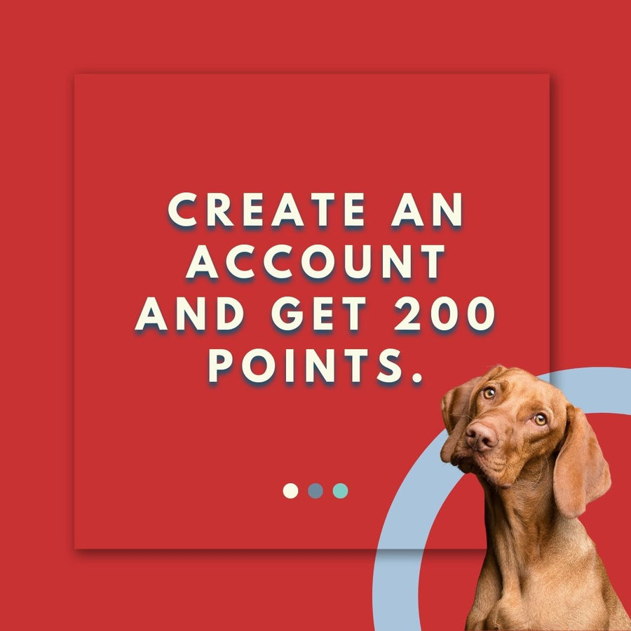 Rewards Program – Goodness Gracious