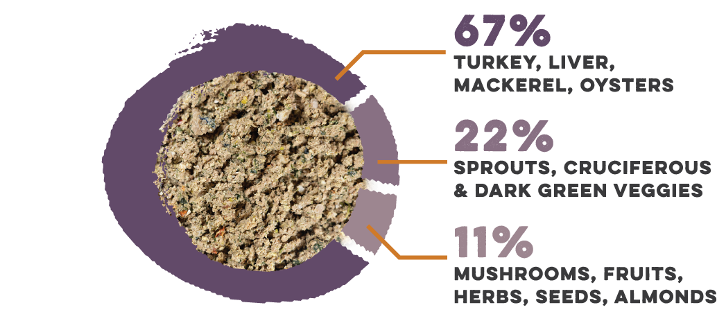 Jive - Brain Health Recipe for Dogs – Goodness Gracious