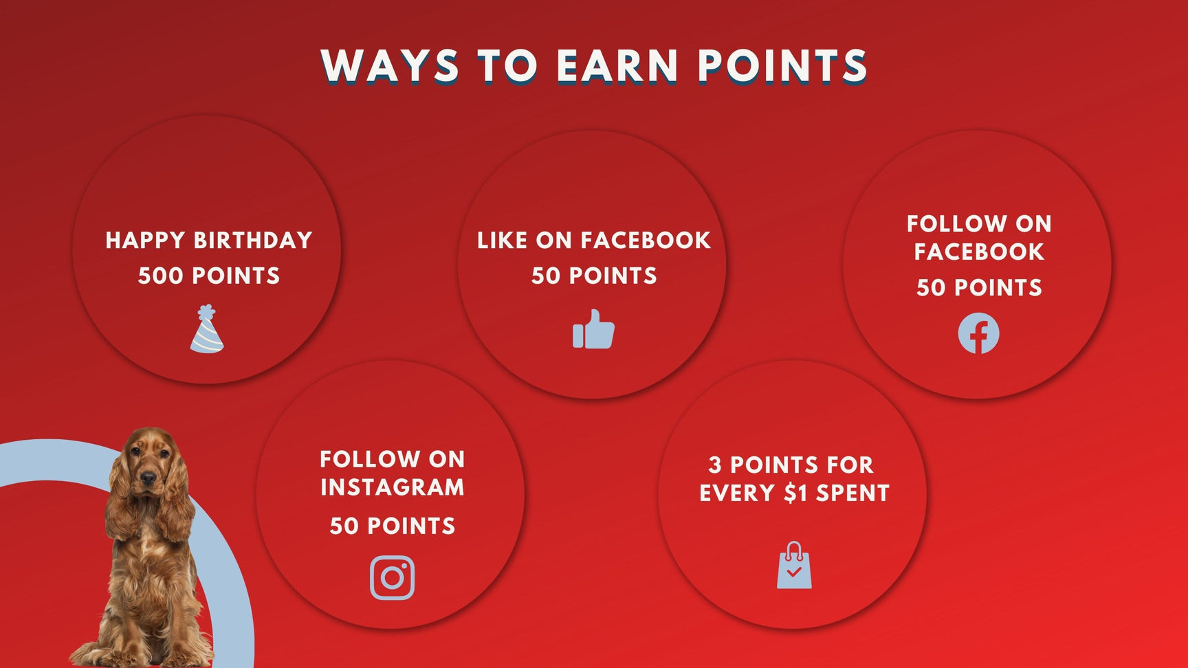 Rewards Program – Goodness Gracious