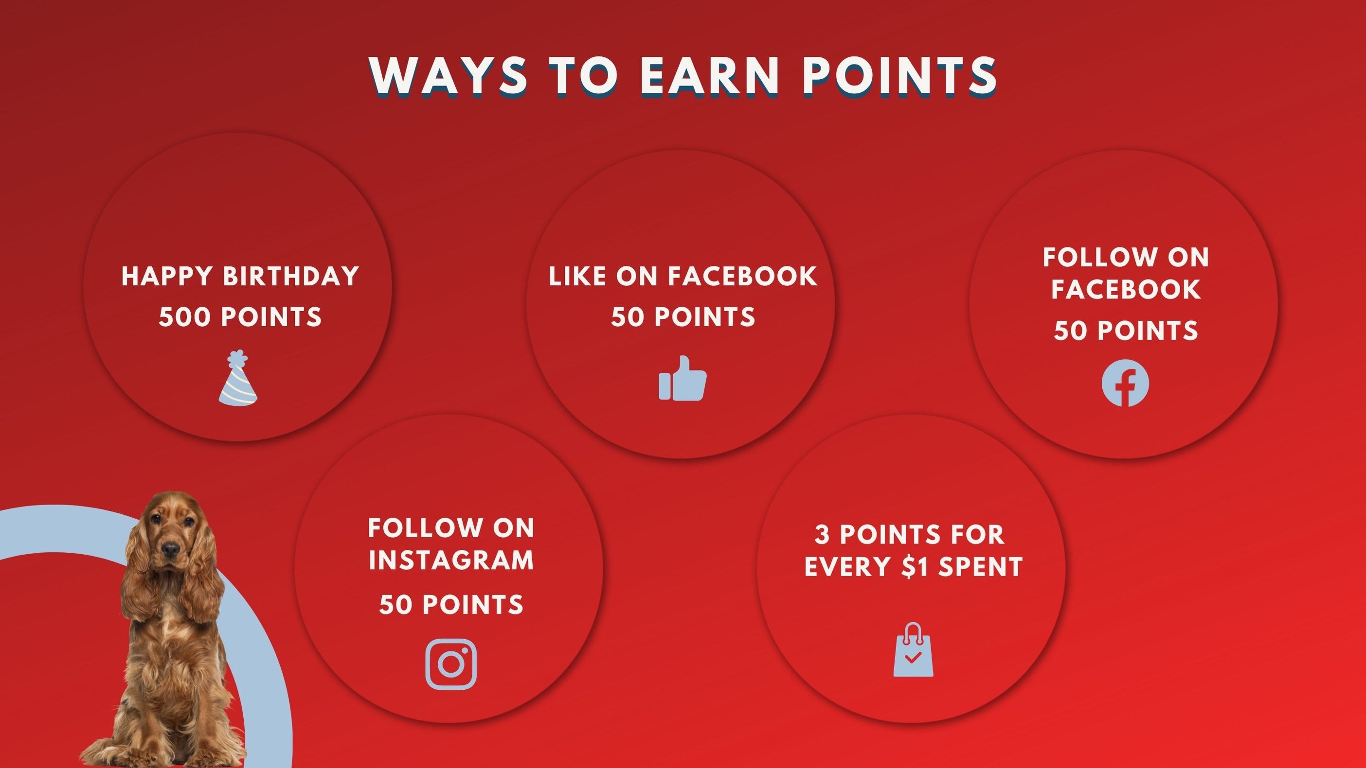 Rewards Program – Goodness Gracious